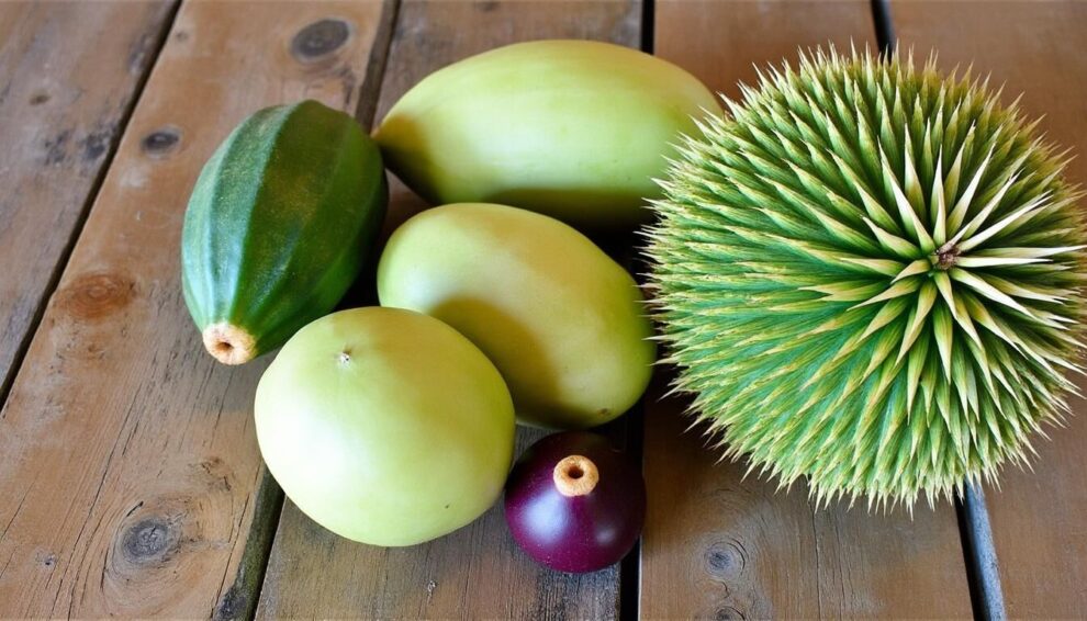 Liste complète des fruits en H : découvrez toutes les variétés